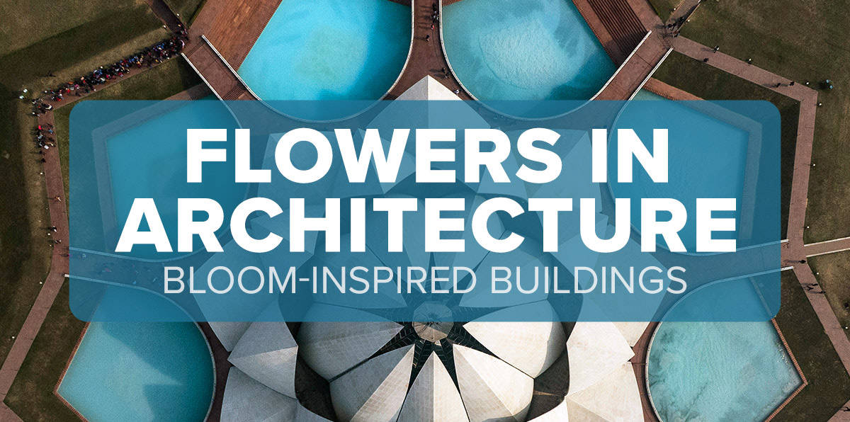 Architectural Structures Inspired by Flowers - Boslands Flower Shop