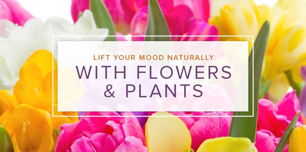 SEASONAL FLOWERS FOR SPRING CLEANING - Boslands Flower Shop