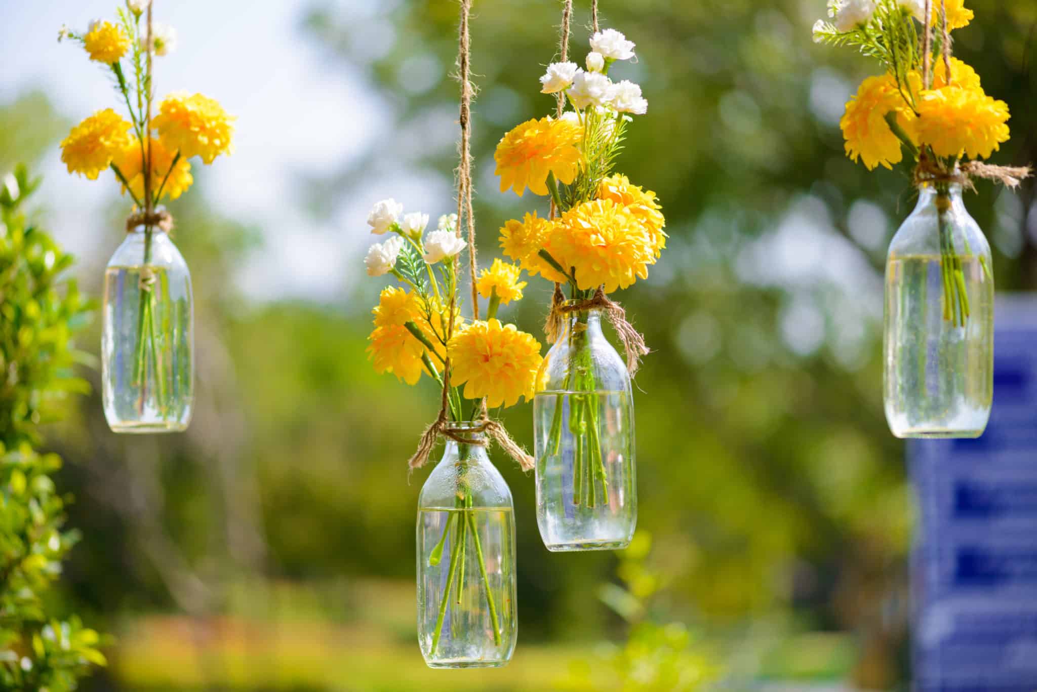 Fun Decor Ideas for the Perfect Backyard Bash - Boslands Flower Shop