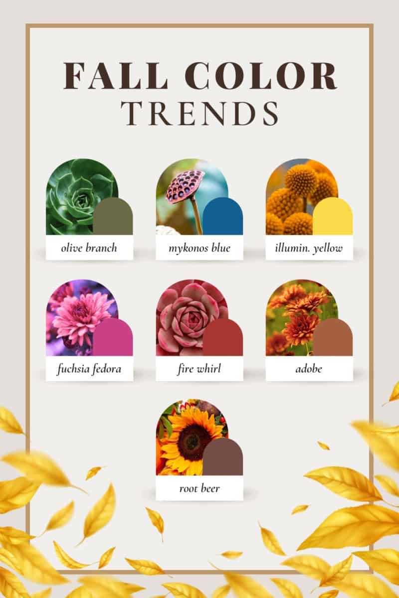 Celebrating Fall Colors with Fall Flowers - Boslands Flower Shop